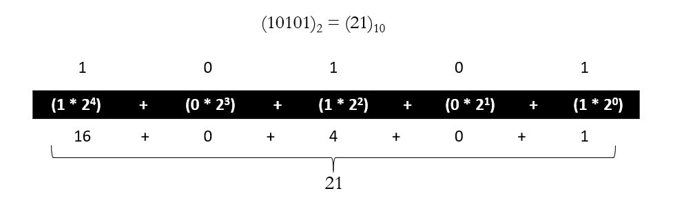 C Program To Convert Binary Number To Decimal And Decimal To Binary